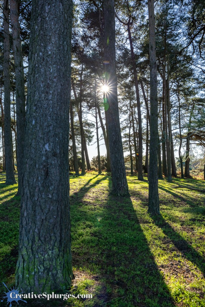Trek to Nutley Windmill – Creative Splurges